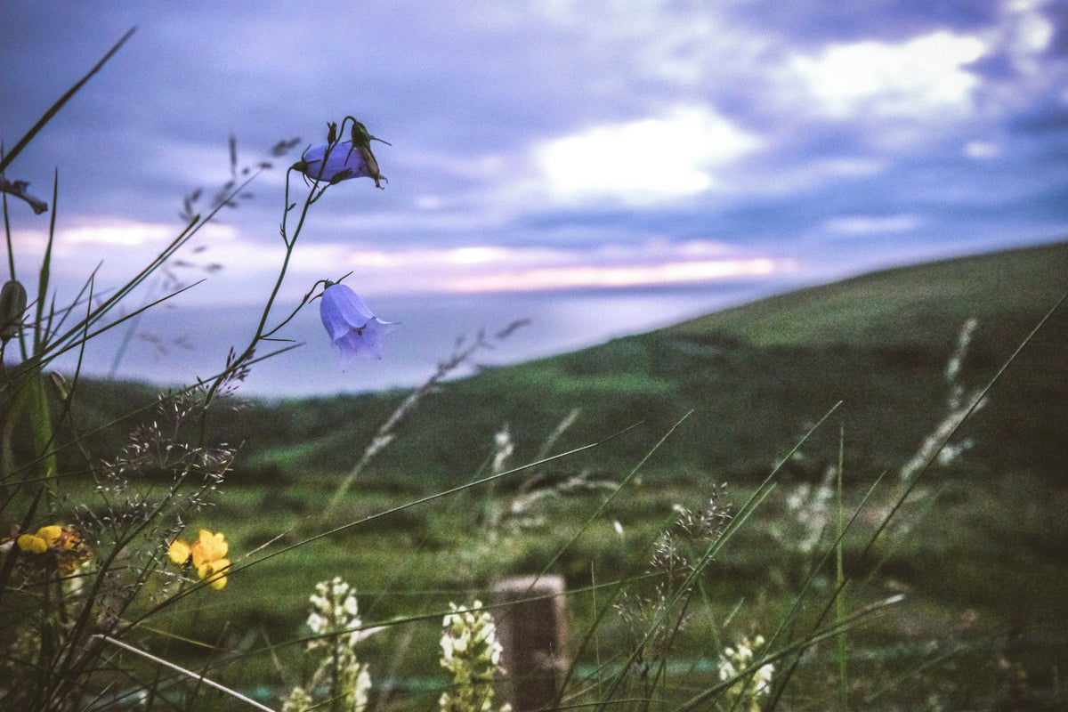 11 Presence Quotes for Peaceful Power Wherever You Are– Healing Brave