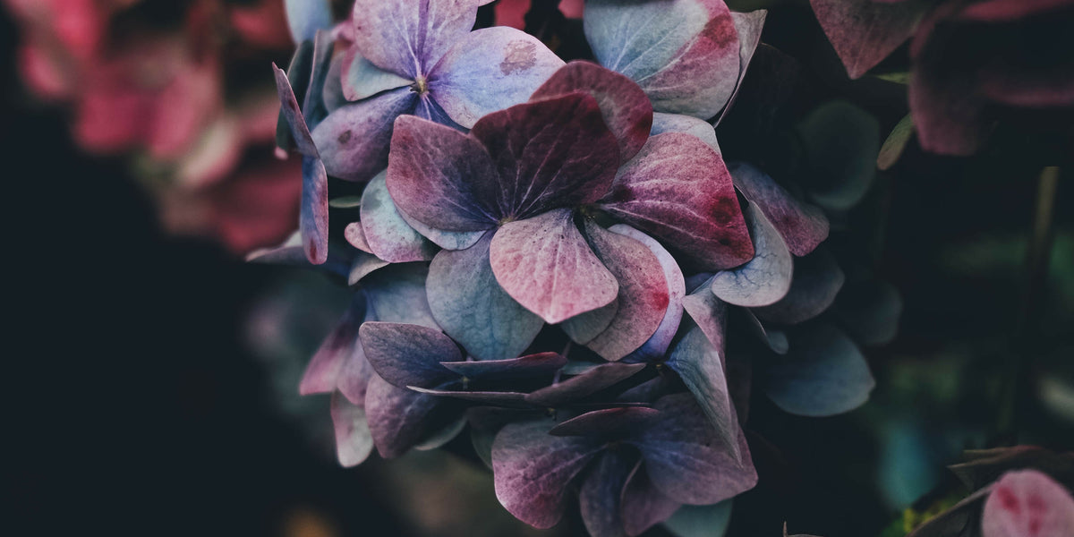 Thoughtful Words of Affirmation to Speak to Your Loved Ones– Healing Brave