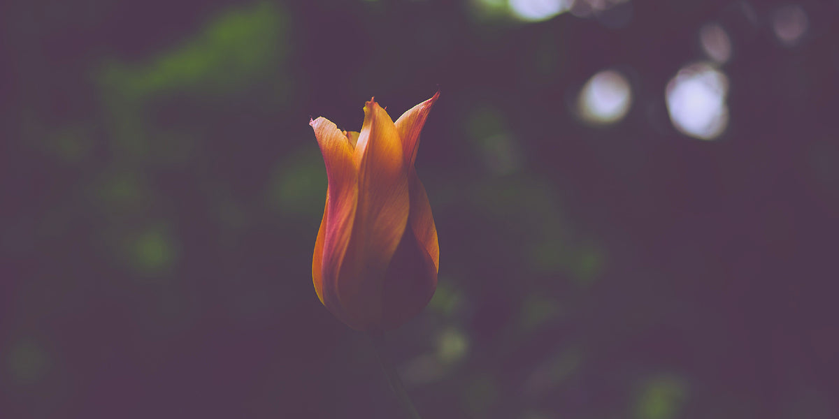 15 Quotes about Choosing Love Over Fear as a Practical Tool for Growth ...