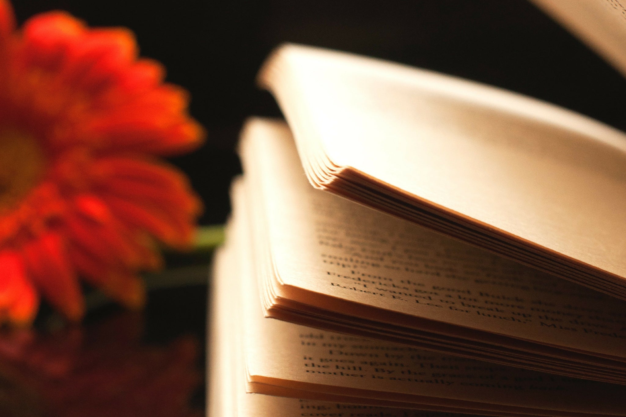 Serve Yourself Tea: A Self-Acceptance Poem– Healing Brave