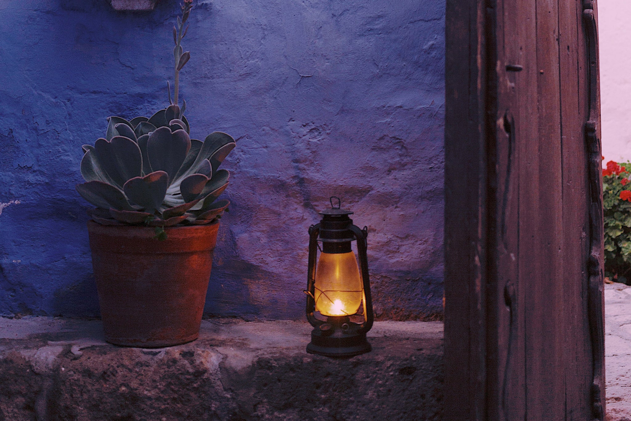 33 World Peace Quotes to Keep Your Hope for Humanity Alive– Healing Brave