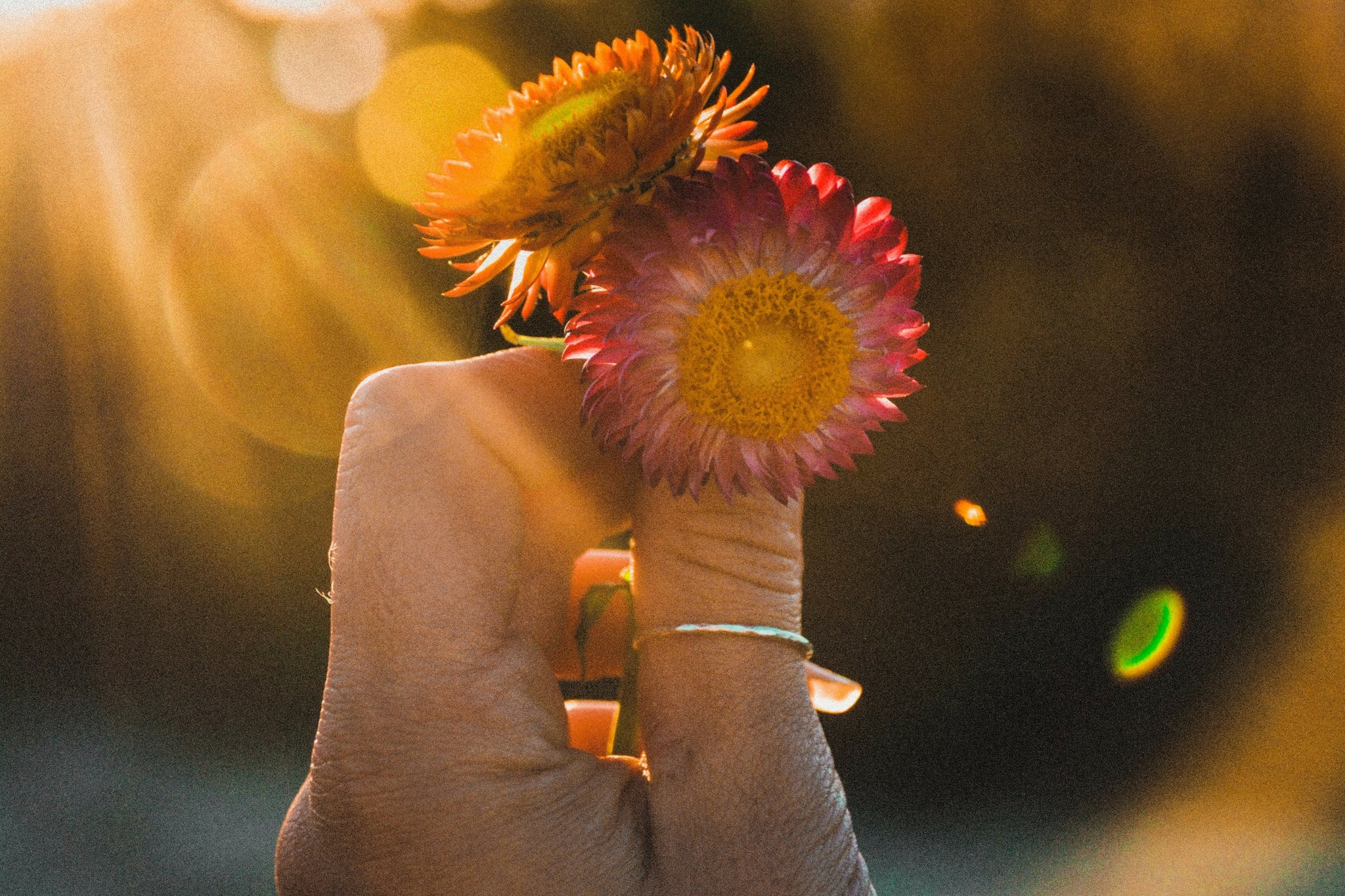 Channeling Your Best Friend: A Writing Exercise for Stress Relief ...