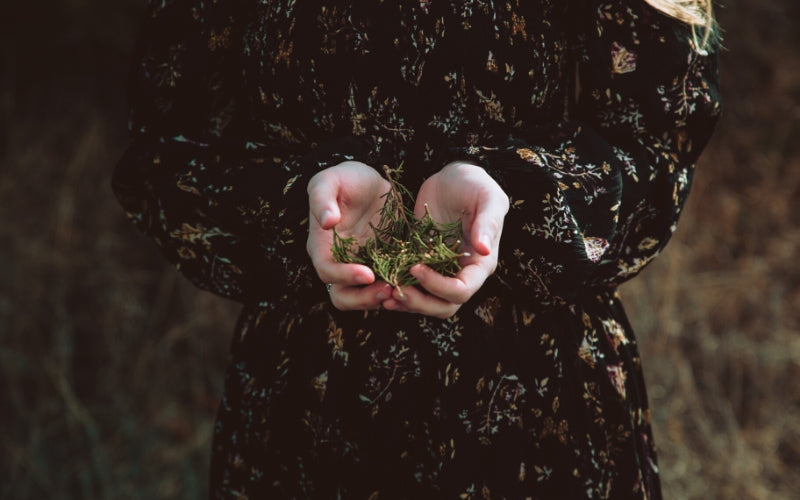 An Open Letter to My Inner Child– Healing Brave