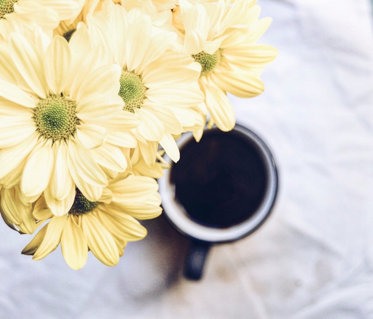 30 Positive Attitude Quotes to Inspire a Change of Heart– Healing Brave