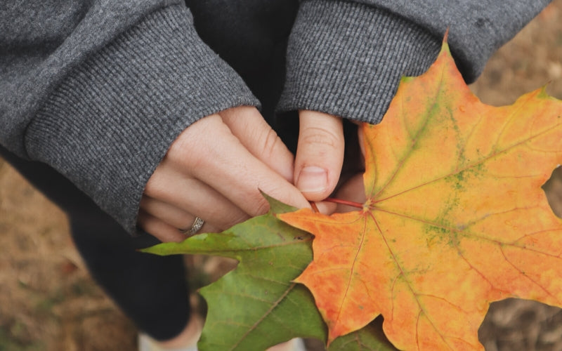 21 Journal Prompts to Help You Make Decisions with Integrity and Love ...