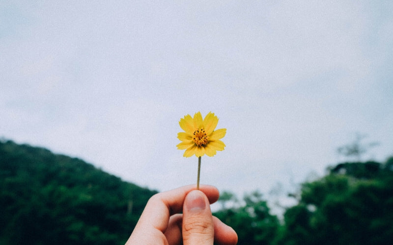 21 Quotes about Planting Seeds for Spiritual Growth– Healing Brave