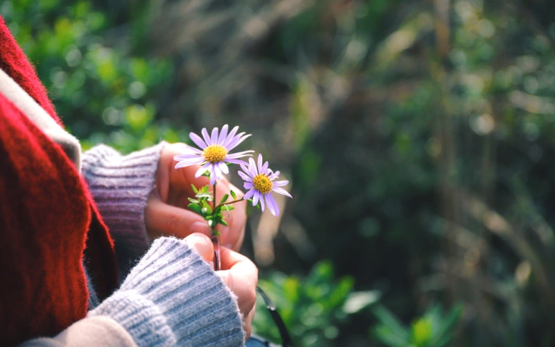 A Must Read: The Awakening Poem by Judith Espinosa– Healing Brave